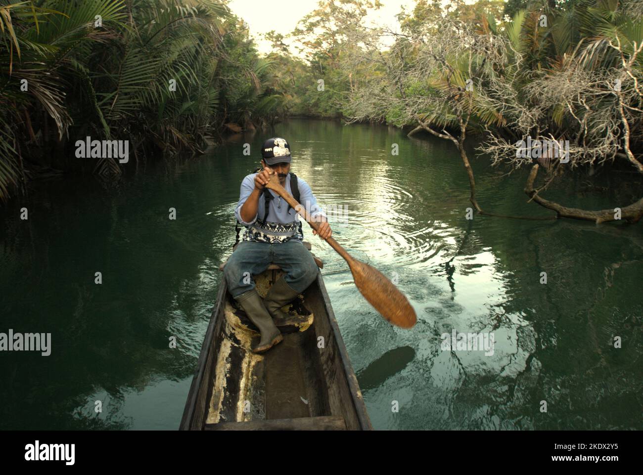 A national park ranger rowing a boat on Cigenter river through coastal ...