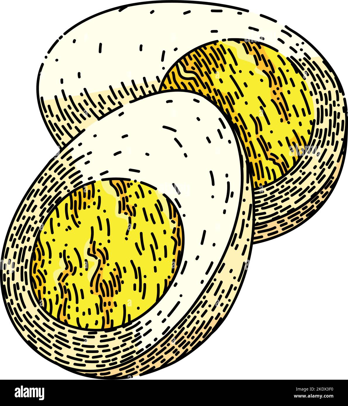 boiled egg sketch hand drawn vector Stock Vector Image & Art - Alamy