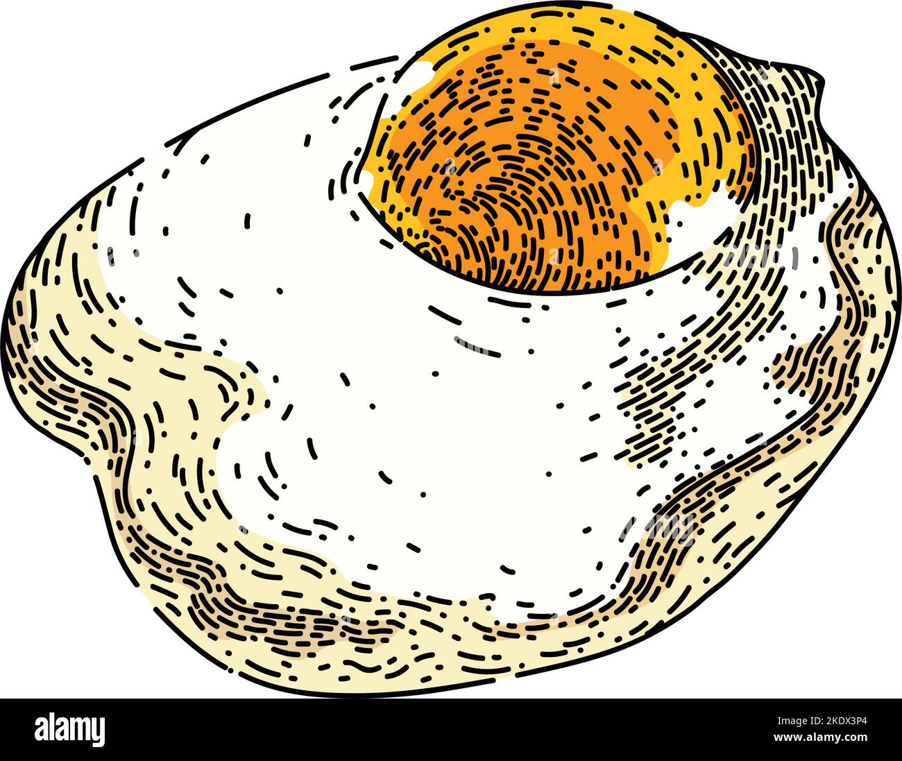 fried egg sketch hand drawn vector Stock Vector Image & Art - Alamy