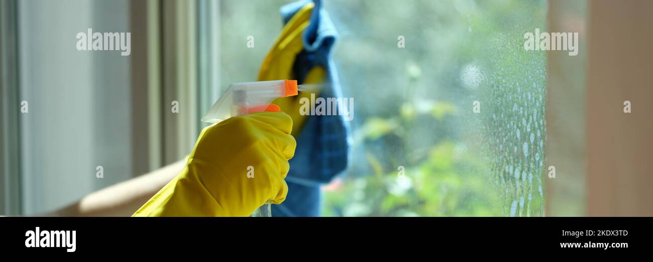 Cleaner washing window with detergent and rags in house Stock Photo - Alamy