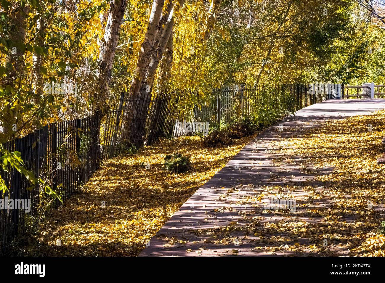 Walkway through river autumn daytime hi-res stock photography and ...