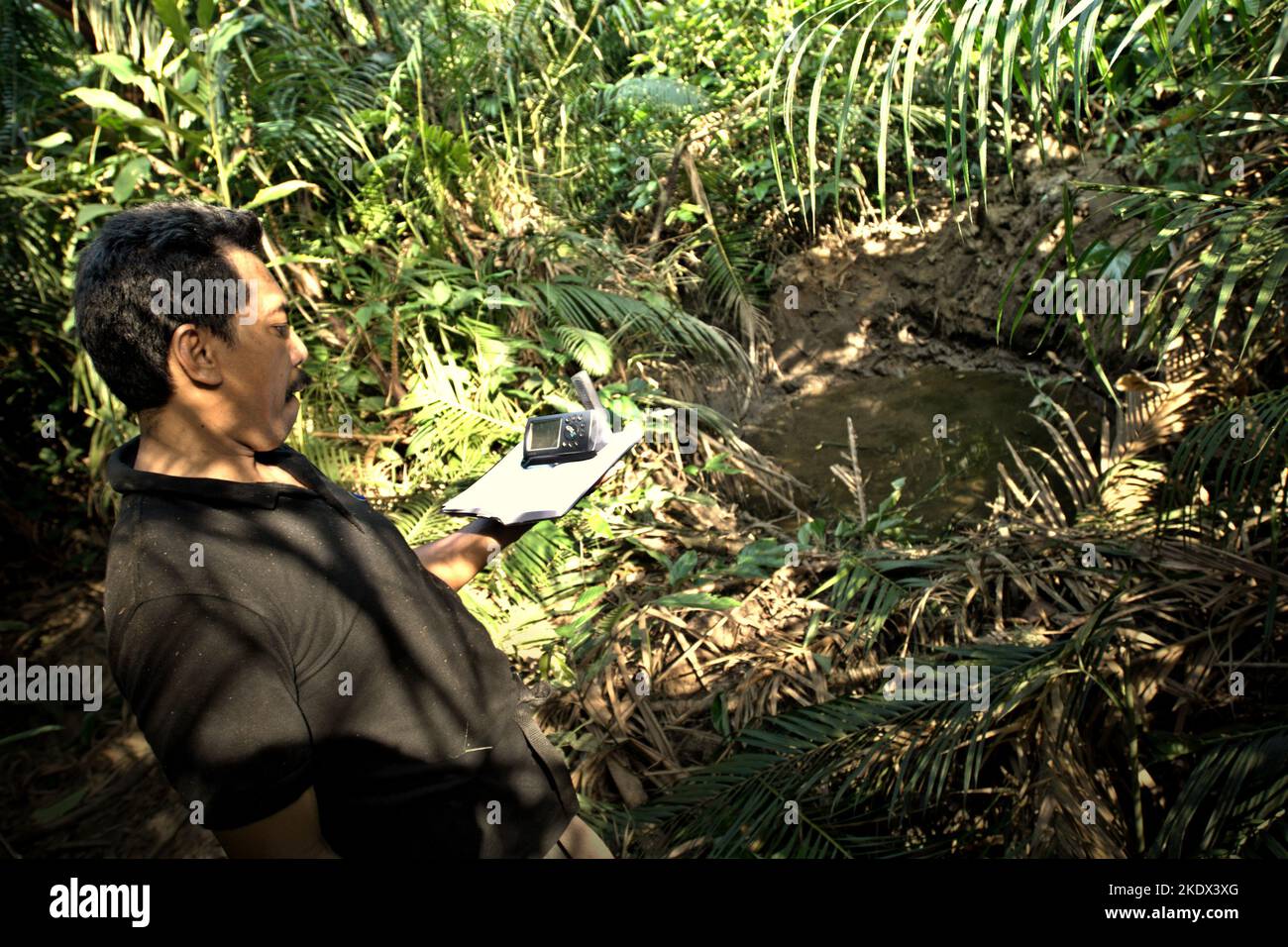 Javan rhino habitat hi-res stock photography and images - Alamy