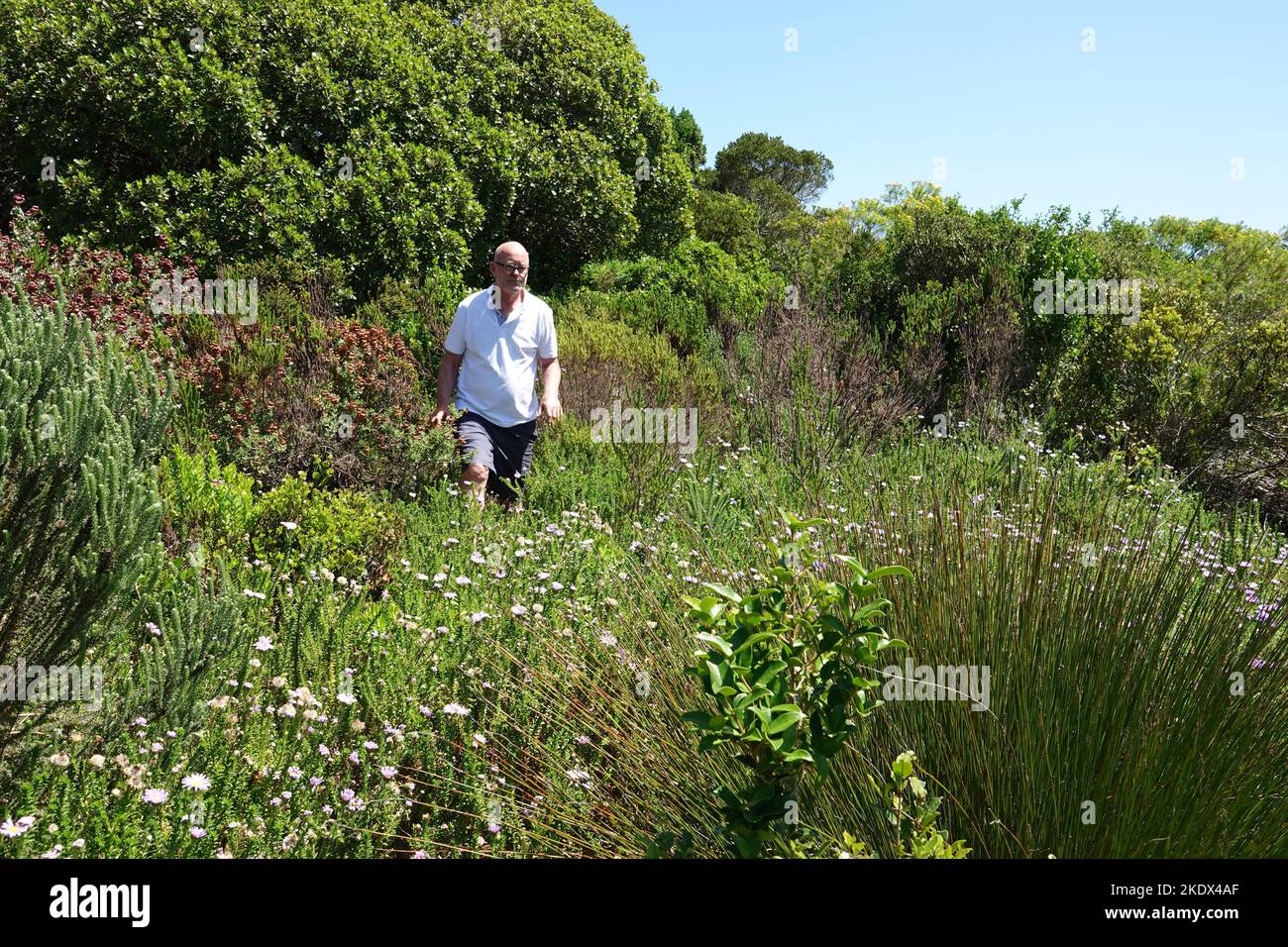 Gansbaai, South Africa. 20th Oct, 2022. Michael Lutzeyer walks across ...