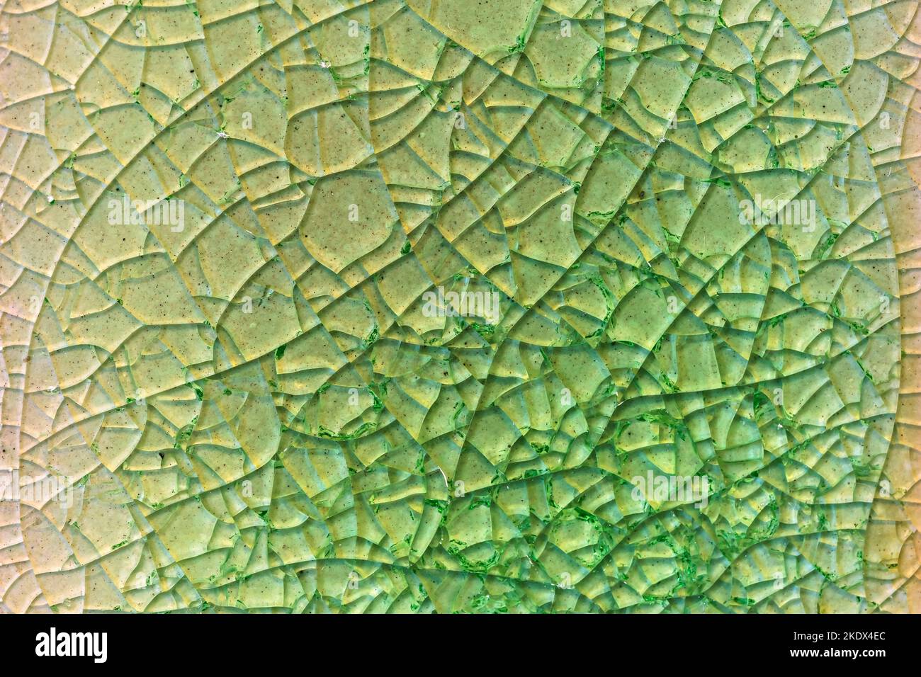 Close up to background and texture of stretch marks cracked on emerald ...