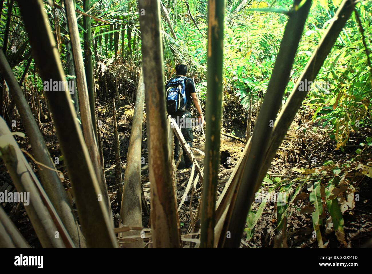 Back portrait of Ridwan Setiawan, popularly known as Iwan Podol—a ...