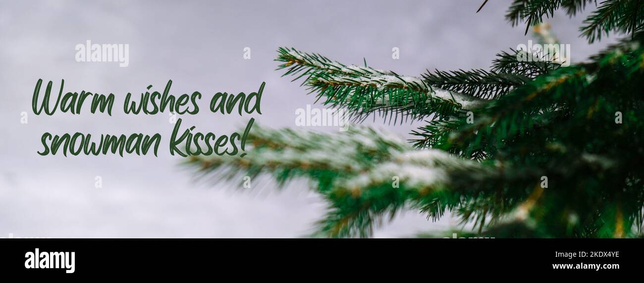 Warm wishes and snowman kisses Inspiration joke quote phrase Coniferous ...