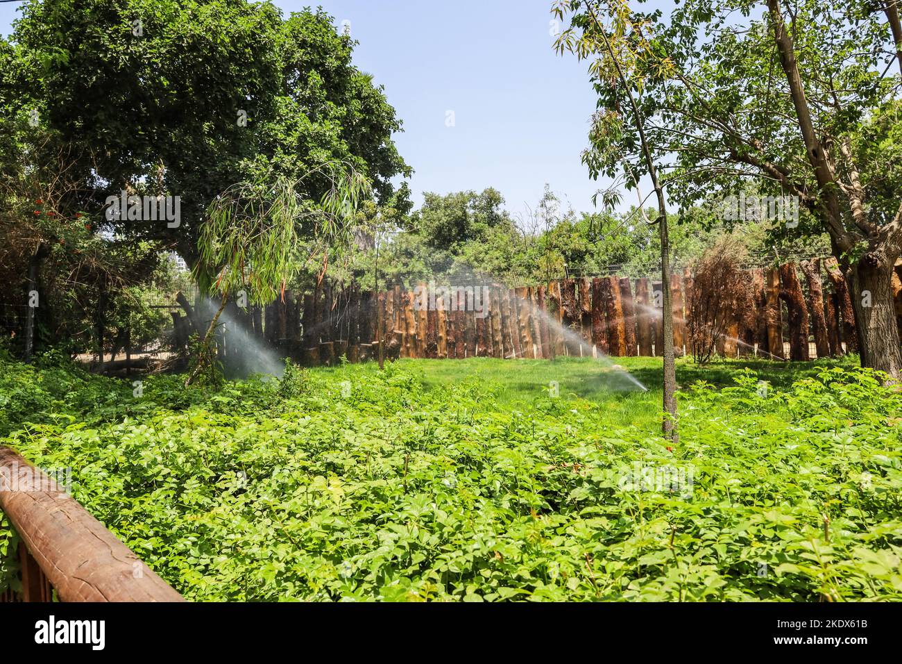 Automatic lawn watering grass trees hi-res stock photography and images ...