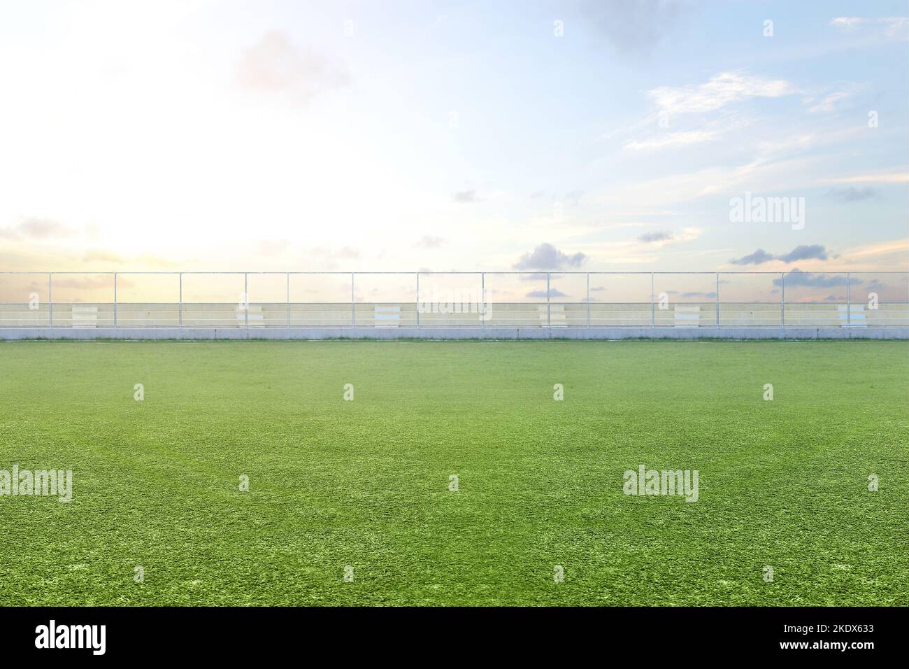 Grass inside the football stadium Stock Photo - Alamy