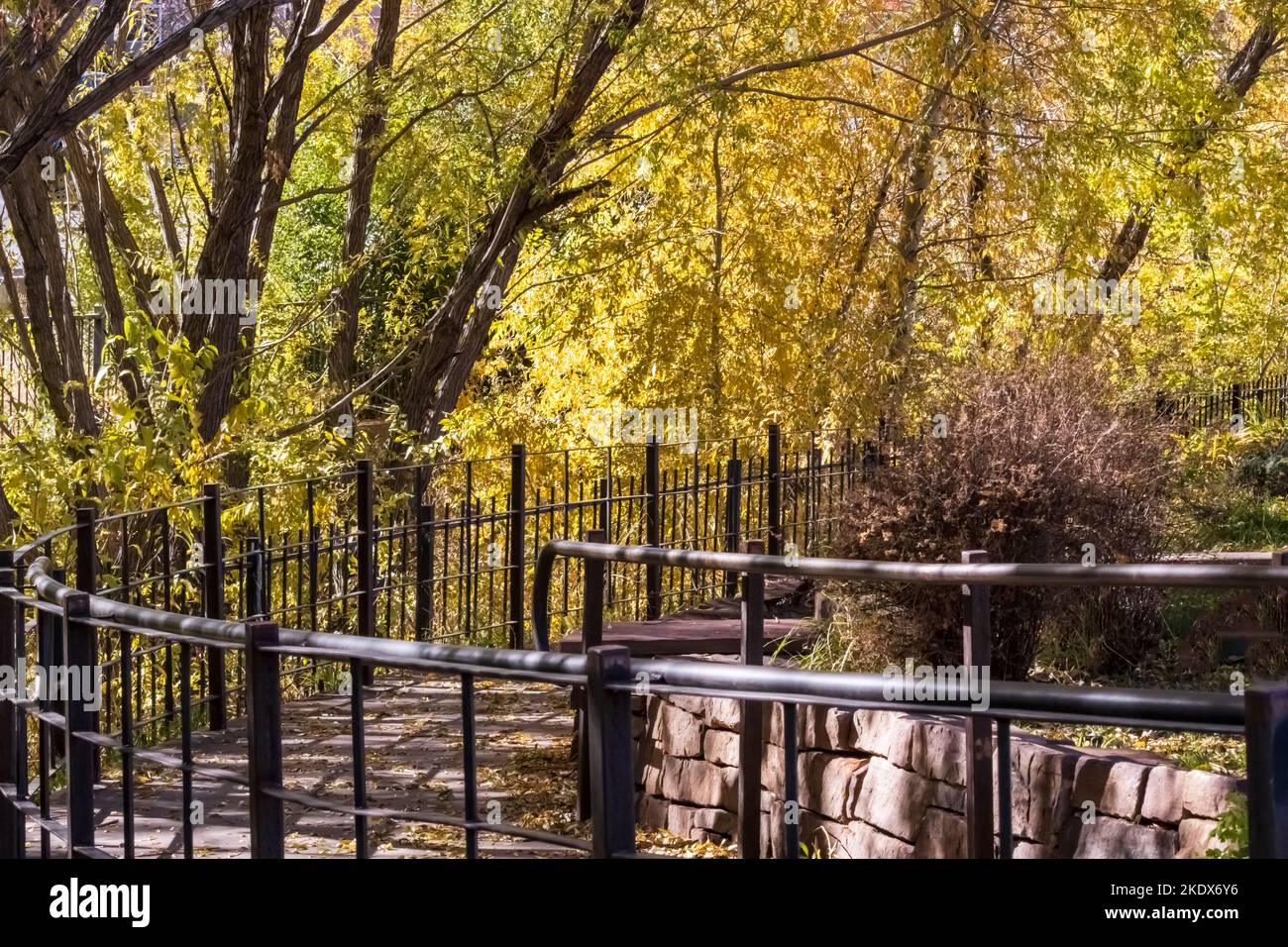 A fenced off walkway through a wilderness area Stock Photo - Alamy