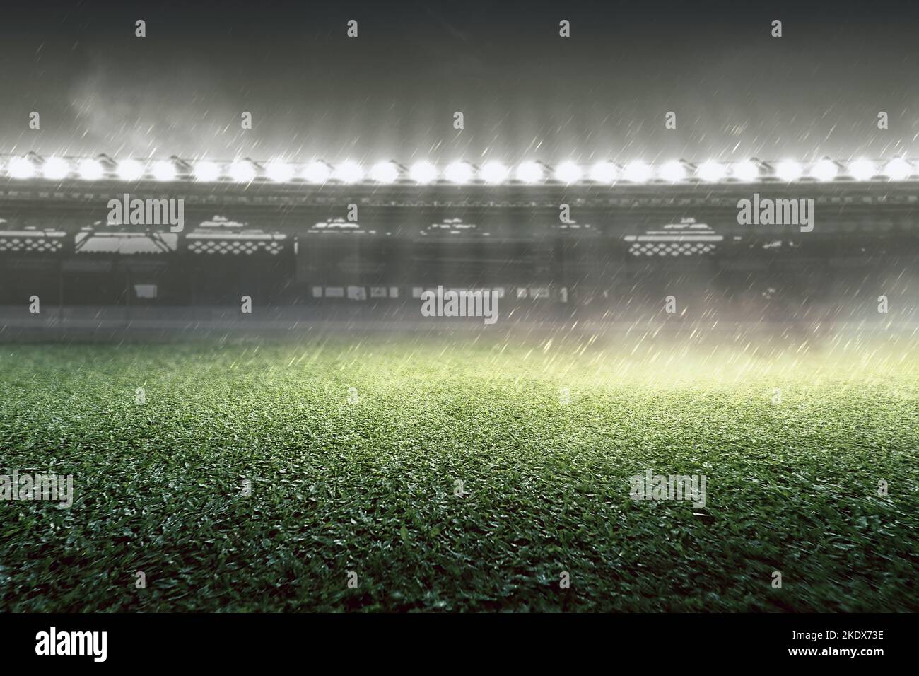 Grass inside the football stadium Stock Photo - Alamy