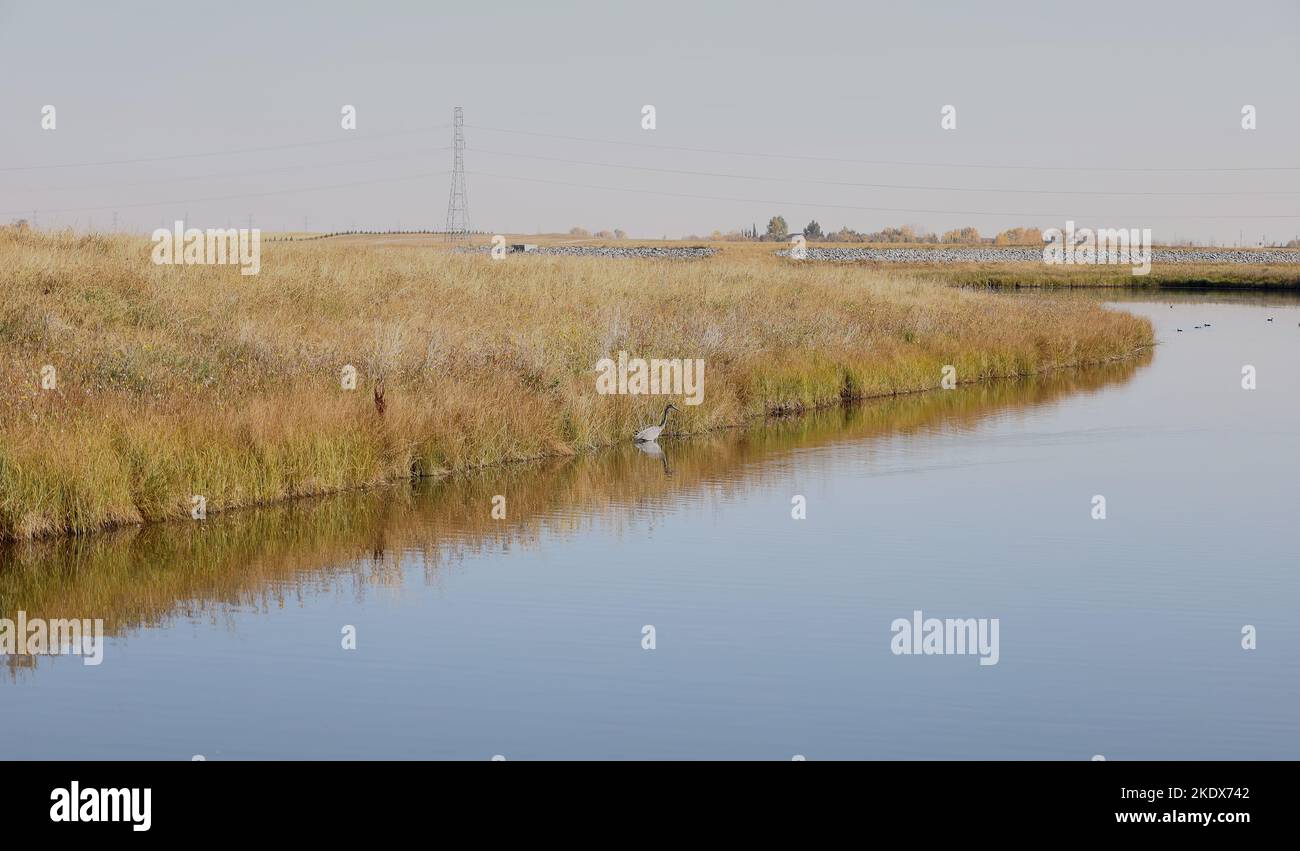 Beautiful prairies hi-res stock photography and images - Alamy