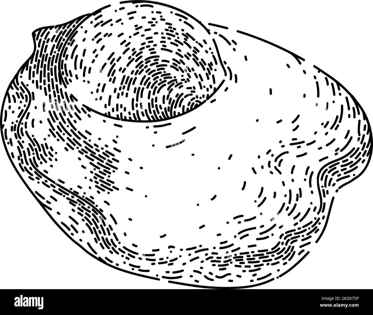 Fried bread and egg Black and White Stock Photos & Images - Alamy