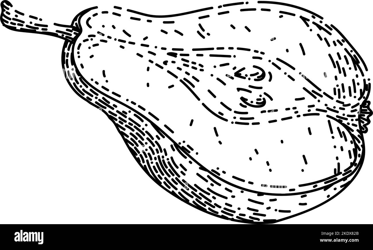 pear cut sketch hand drawn vector Stock Vector Image & Art - Alamy