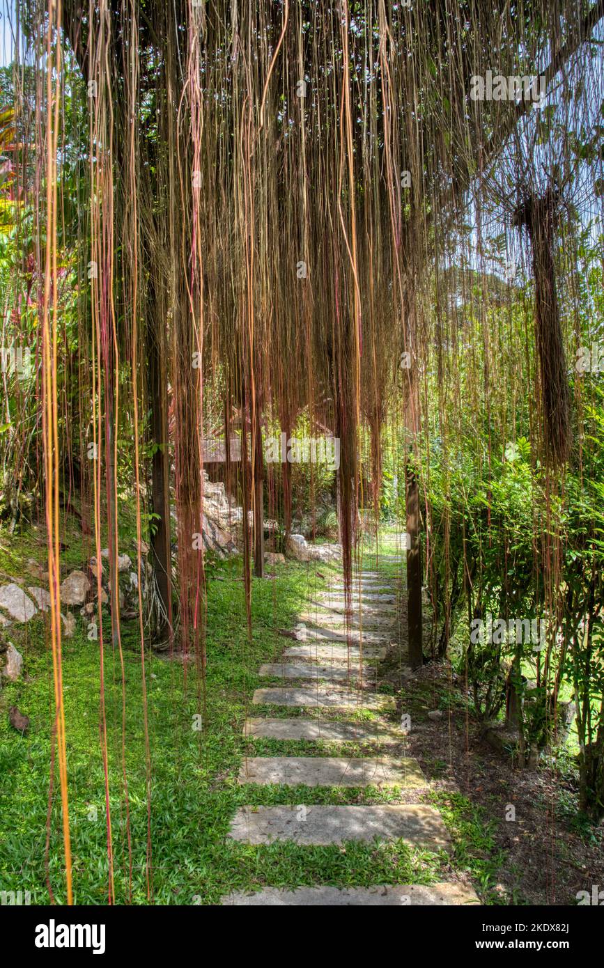 greenery garden walk path way to the park Stock Photo - Alamy
