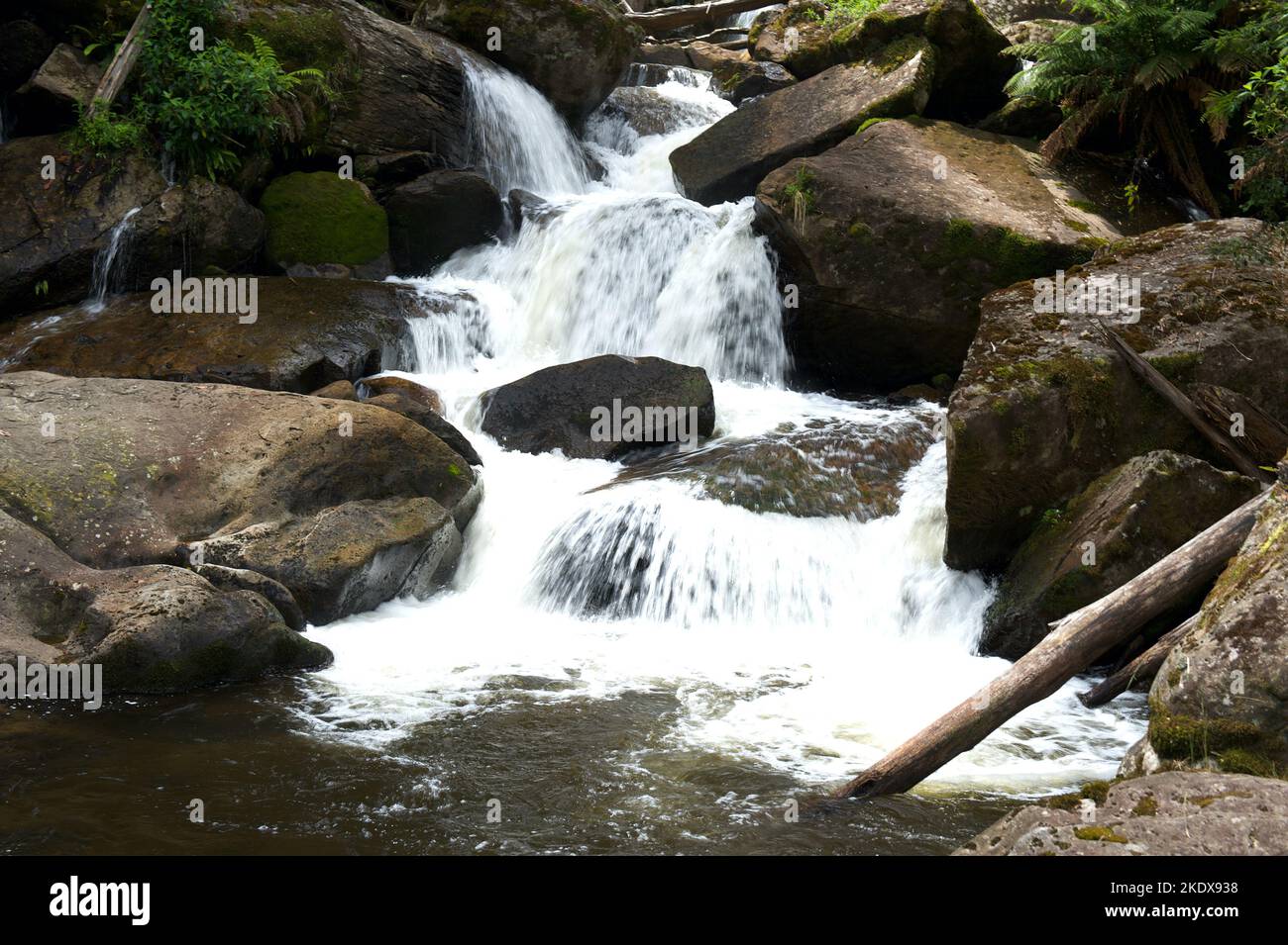 Keppels Falls are on the Taggerty River, up Lady Talbot Drive from ...