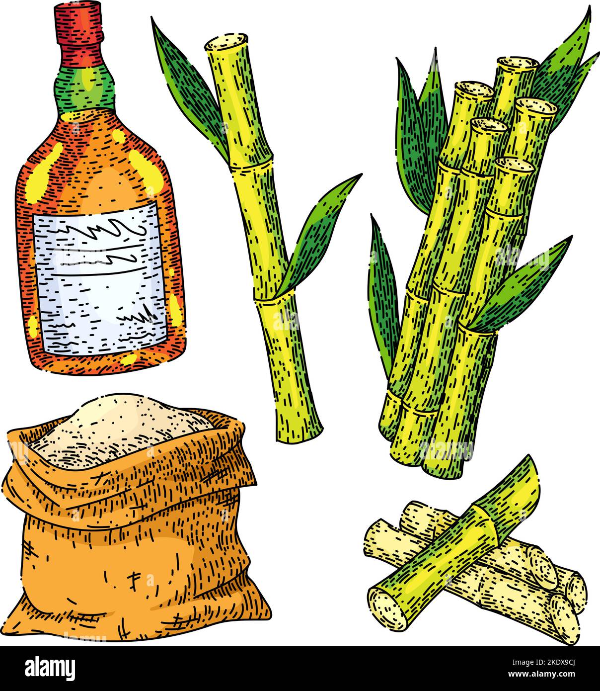 sugar cane set sketch hand drawn vector Stock Vector Image & Art - Alamy sugar cane set sketch hand drawn vector Stock Vector Image & Art - Alamy