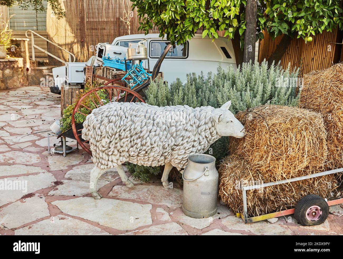 Lamb made of gypsum eats real hay and milk can. Decoration and design ...