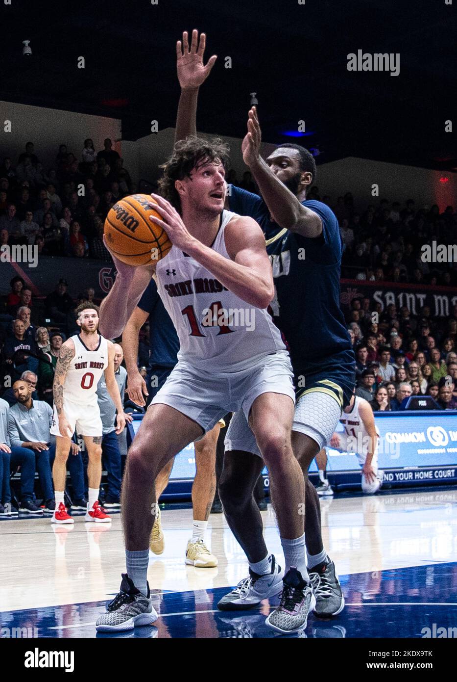 2022 0322 jpg hi-res stock photography and images - Alamy