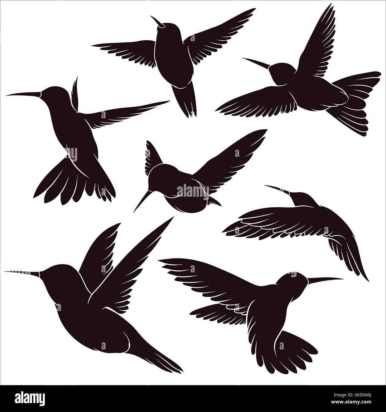 Hand drawn silhouette of hummingbird Stock Vector Image & Art - Alamy