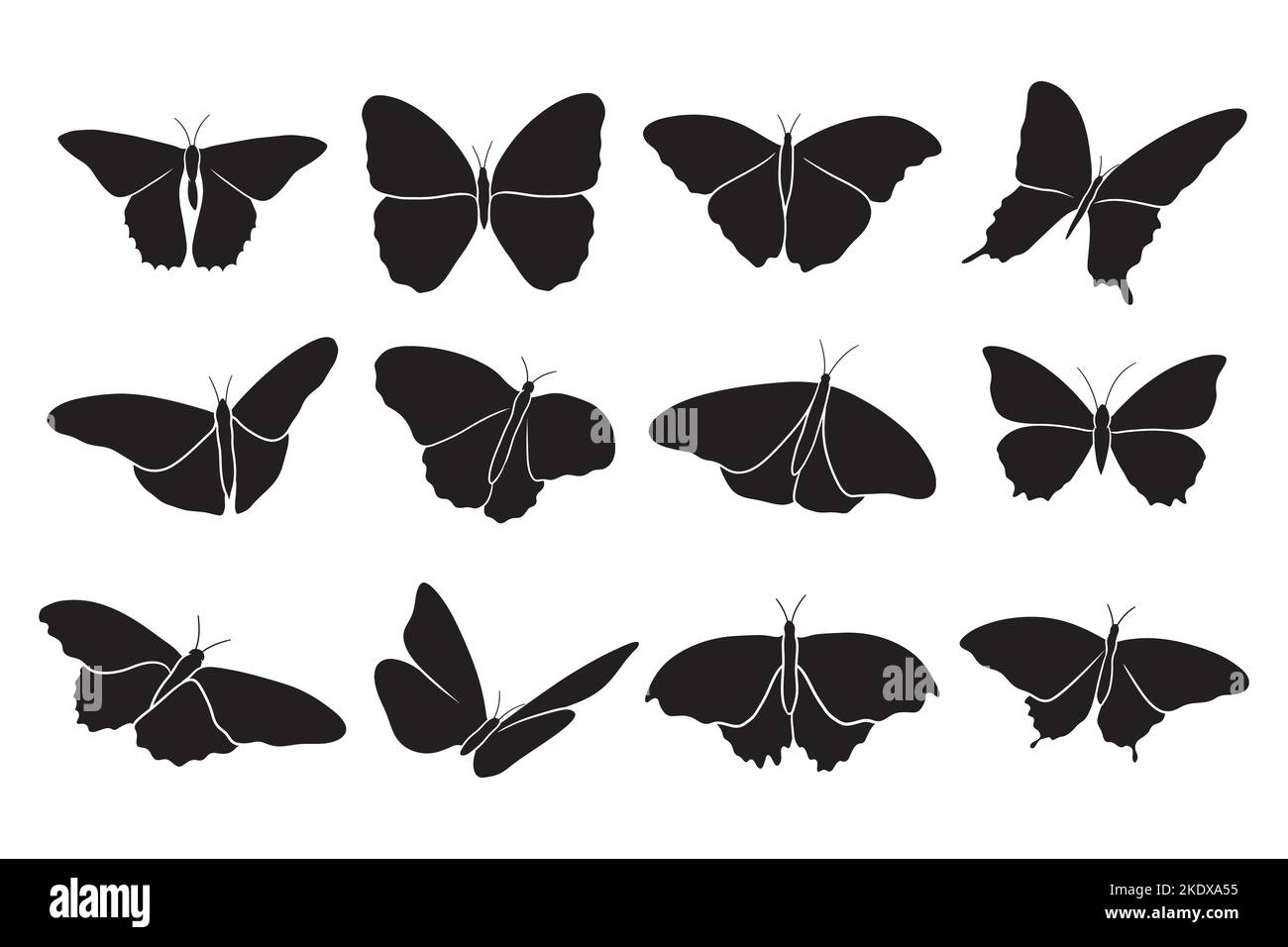 Vector illustration monarch butterflies Black and White Stock Photos ...