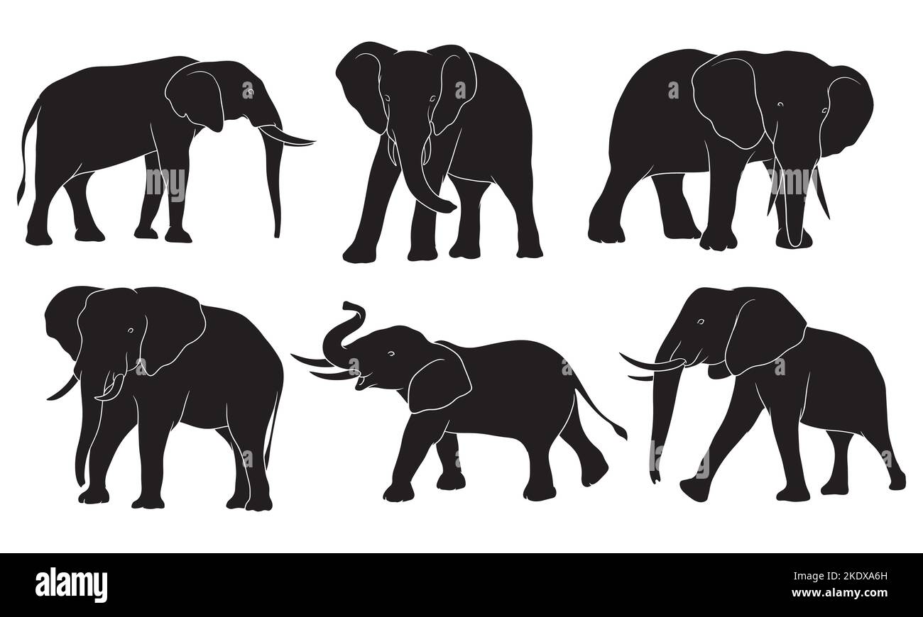 hand drawn silhouette of elephant Stock Vector Image & Art - Alamy