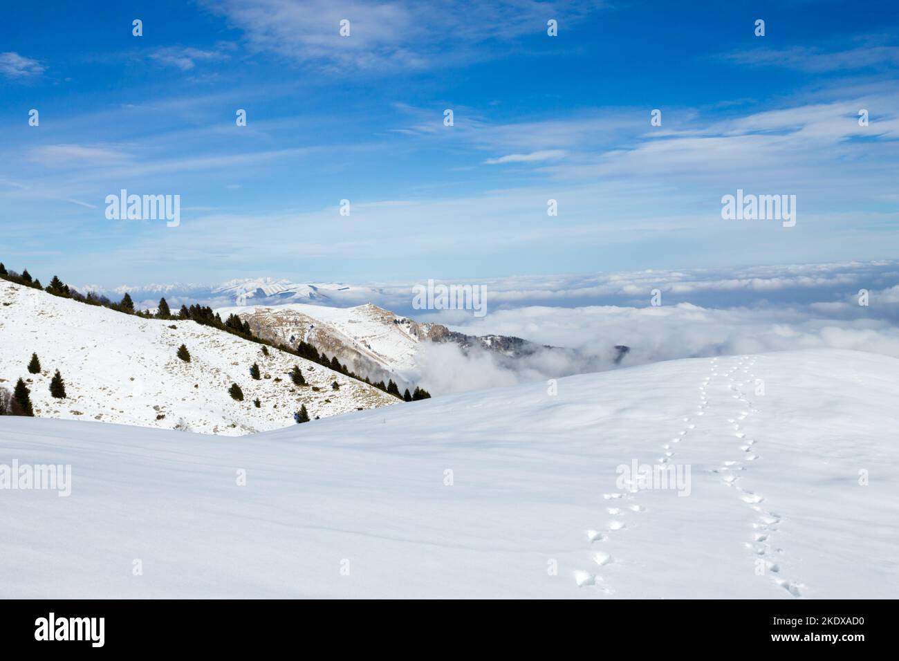 Winter landscape with snow from Alps. Mount Grappa winter view Stock ...
