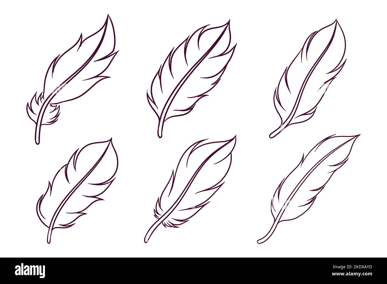 set of hand drawn feather illustration Stock Vector Image & Art - Alamy