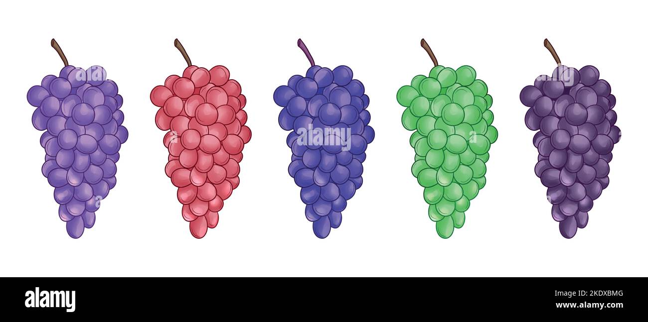 Eco grape Stock Vector Images - Alamy