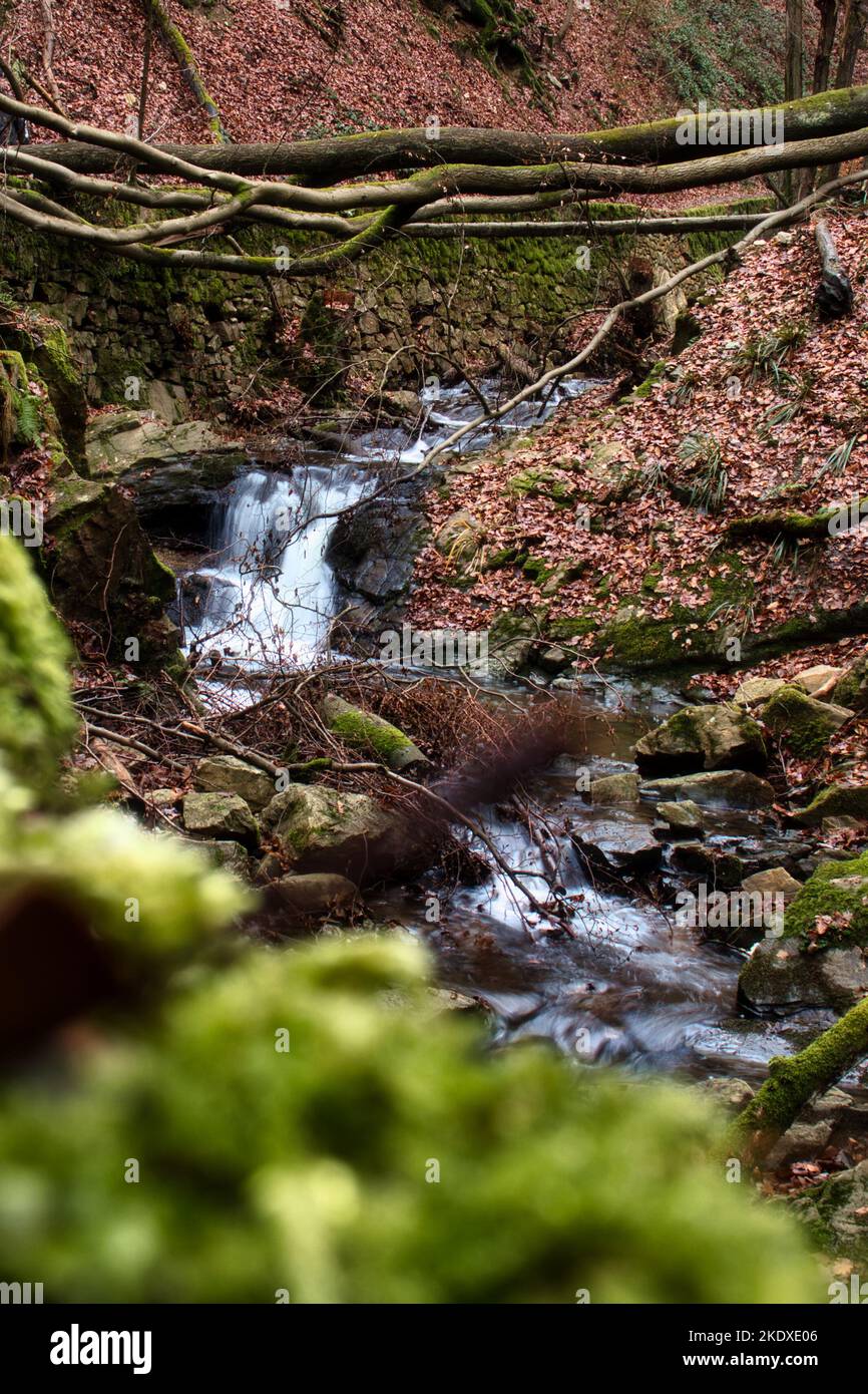 Logs over small waterfall in the Bingen Forest on a winter day Stock ...