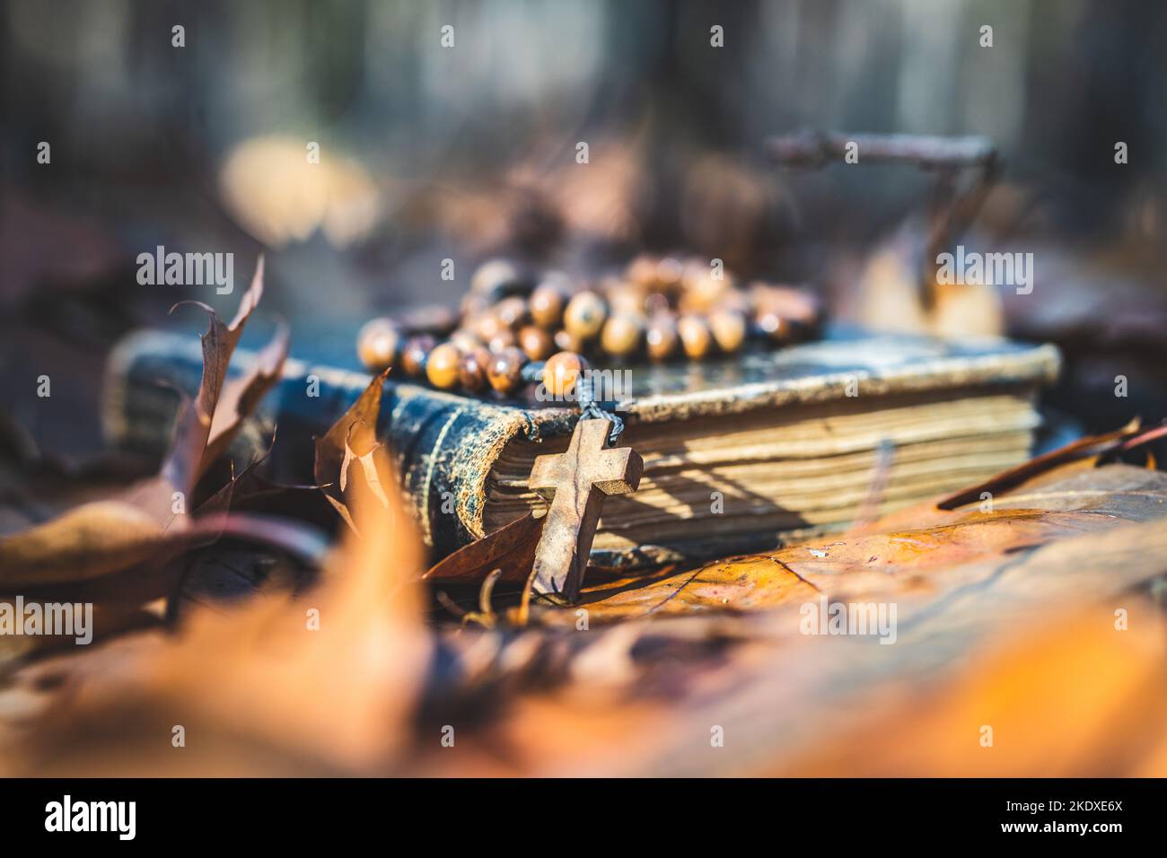 Wooden rosary beads and holy bible book lying on the autumn leaves ...