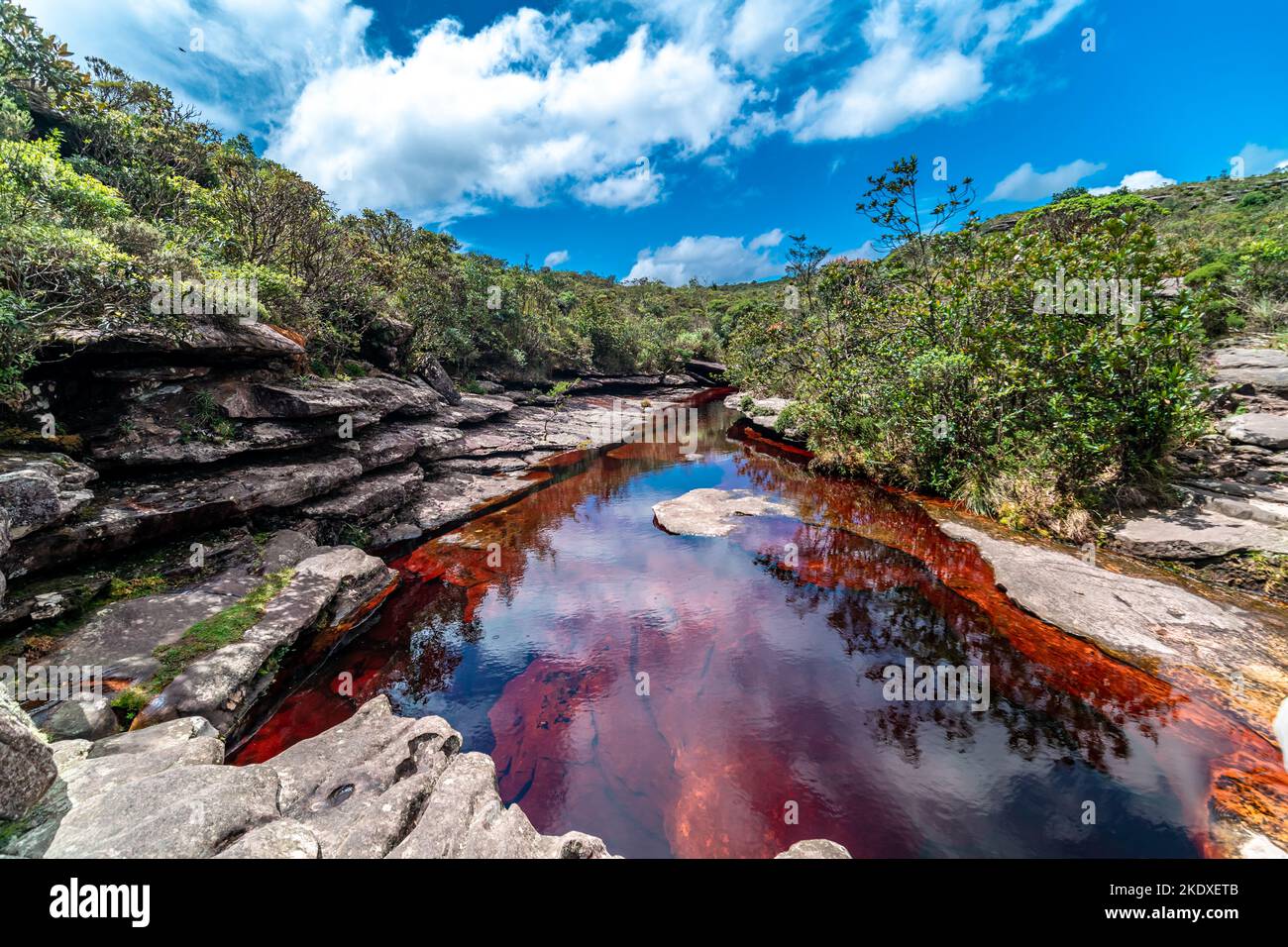 A mountain river flows through rocks in South America Stock Photo - Alamy