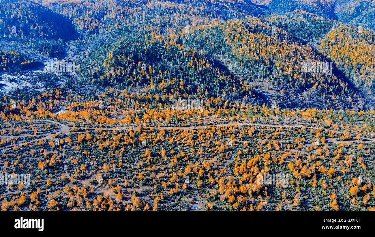Aerial photos show the beautiful autumn scenery of Shangri-La in Diqing ...