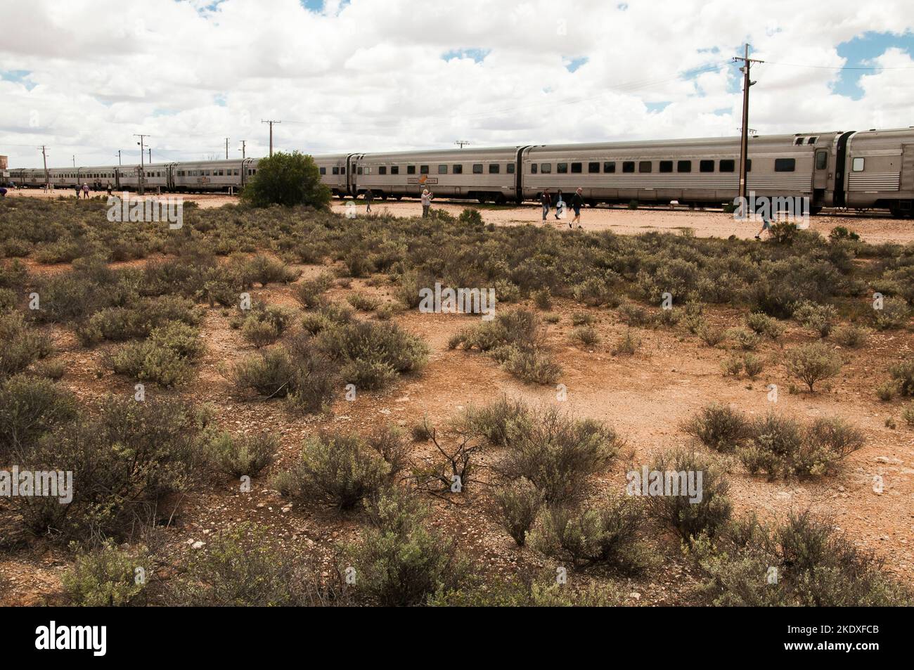 Indian pacific train nullarbor hi-res stock photography and images - Alamy