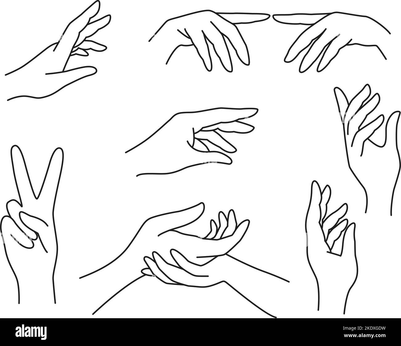 Set line art female hands different gestures Stock Vector Image & Art - Alamy