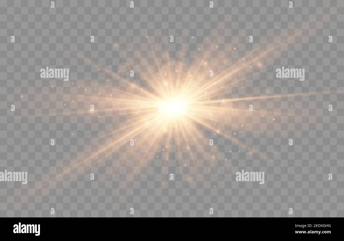 Shine glowing stars. Golden vector lights and sparks isolated. Vector ...