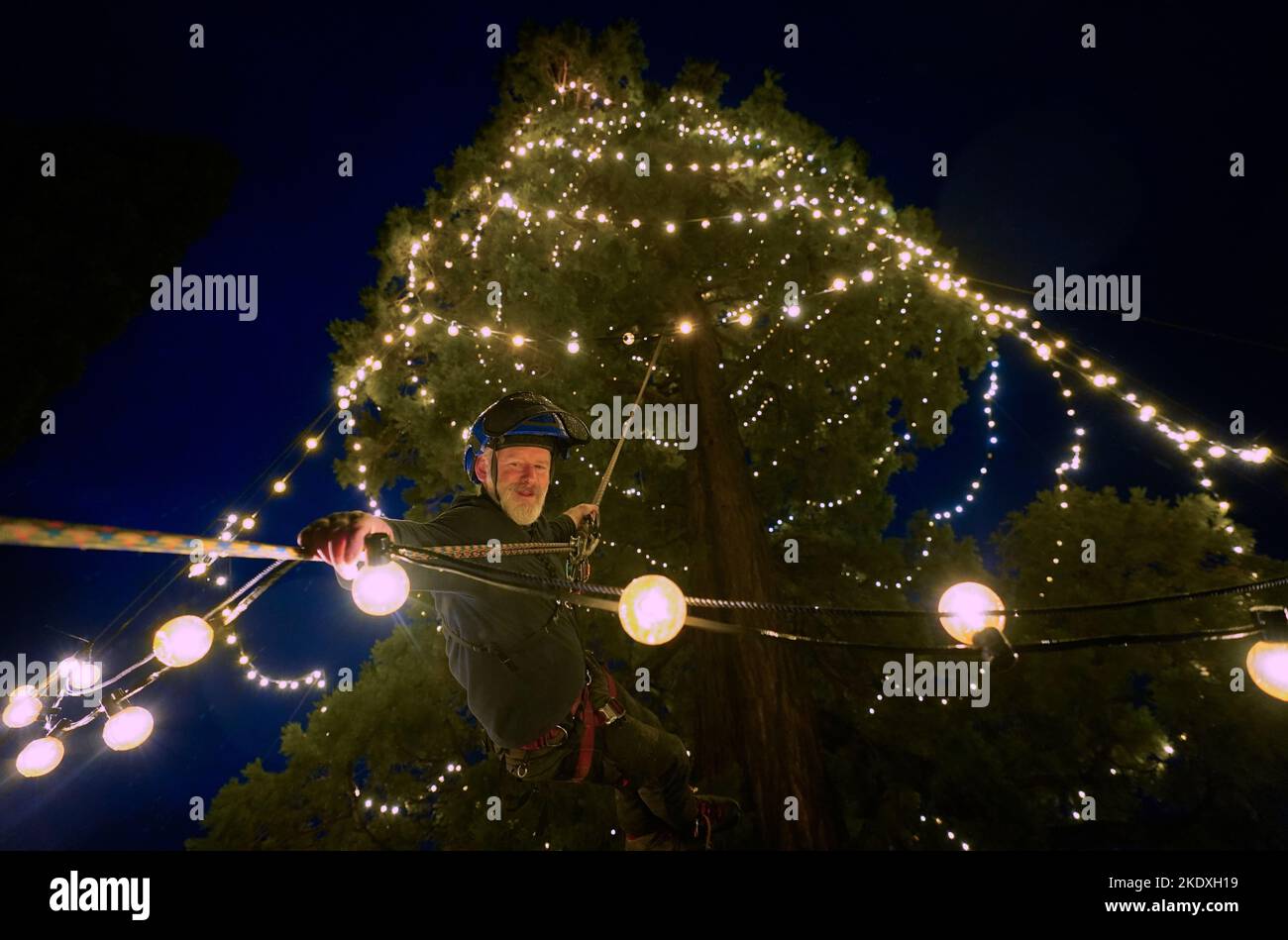 Russell Croft, Arboretum manager at Wakehurst, climbs the UK's tallest ...