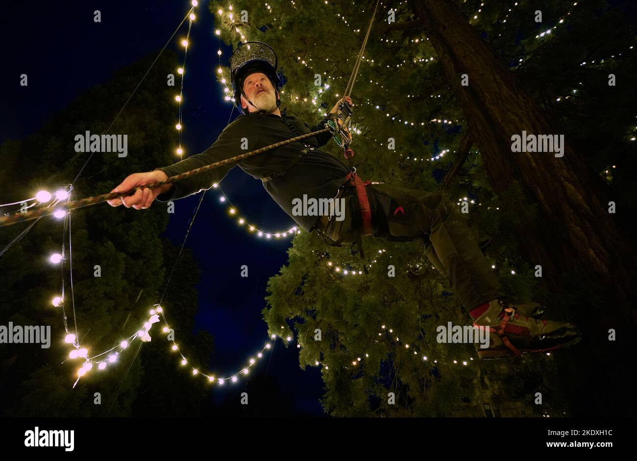 Russell Croft, Arboretum manager at Wakehurst, climbs the UK's tallest ...