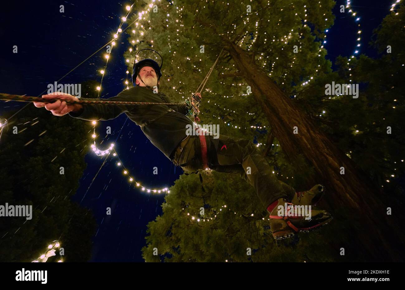 Russell Croft, Arboretum manager at Wakehurst, climbs the UK's tallest ...