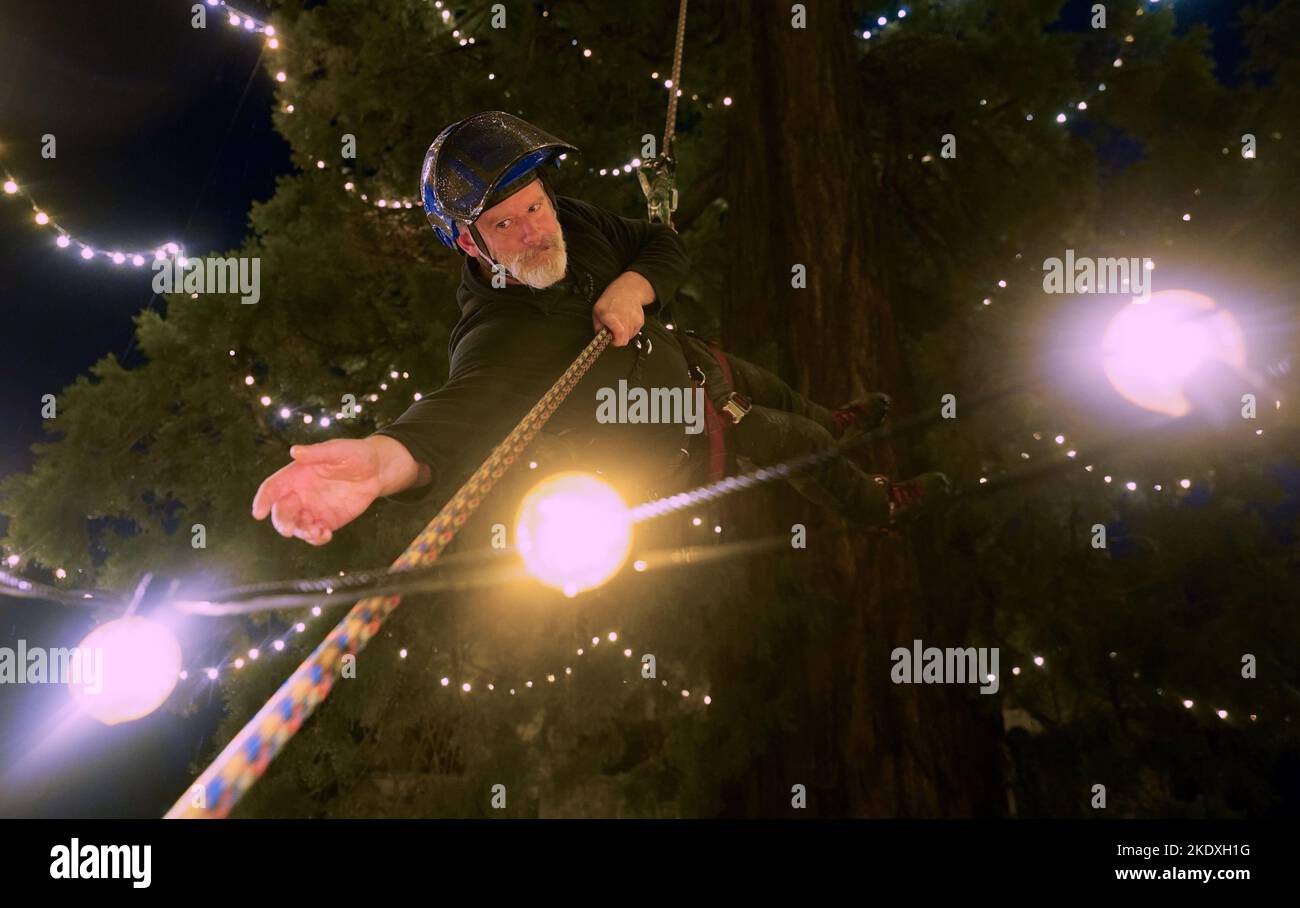 Russell Croft, Arboretum manager at Wakehurst, climbs the UK's tallest ...