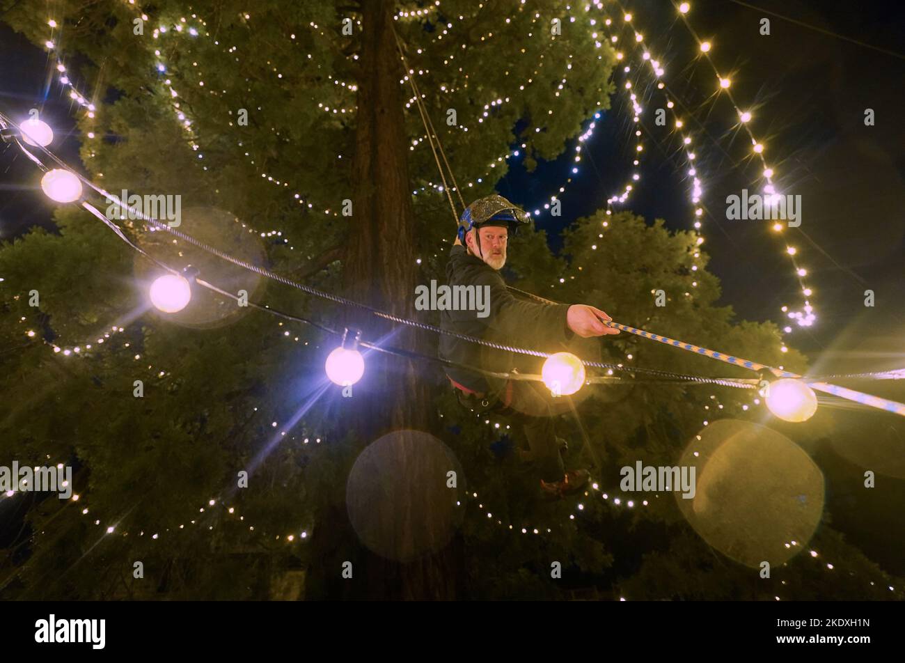 Russell Croft, Arboretum manager at Wakehurst, climbs the UK's tallest ...