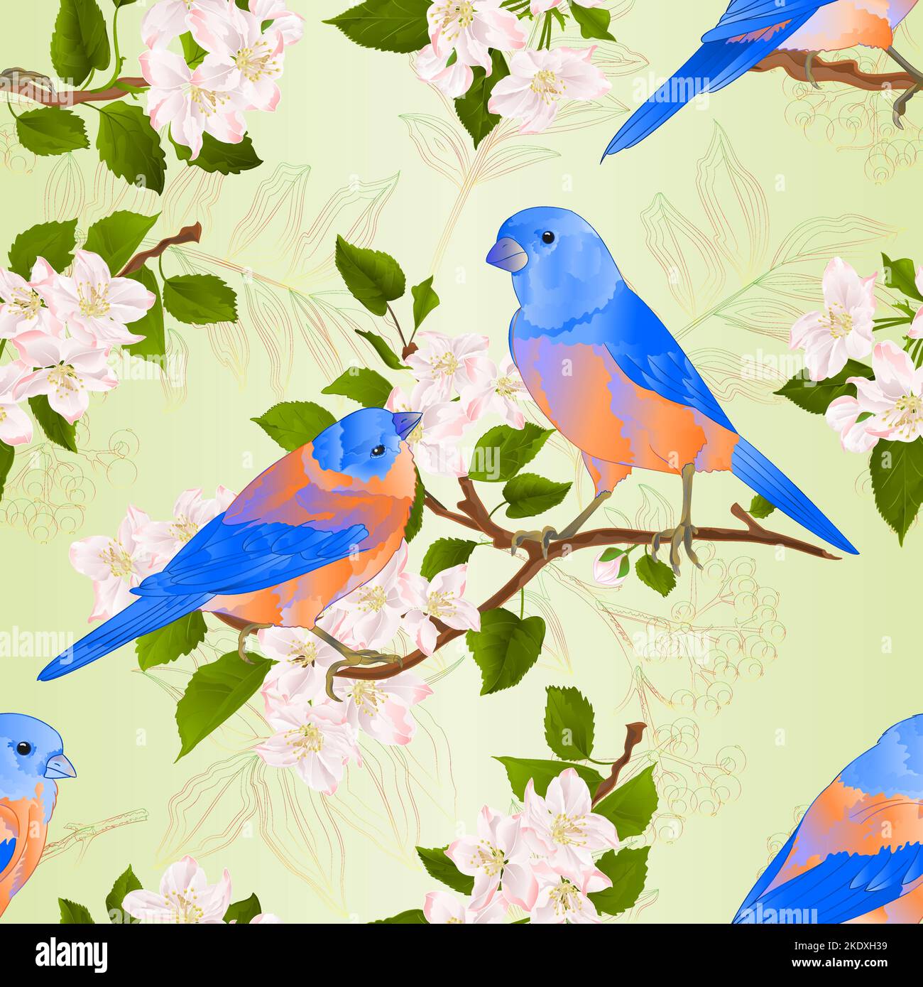 Seamless texture Bluebirds thrush small songbirdons on an apple tree ...