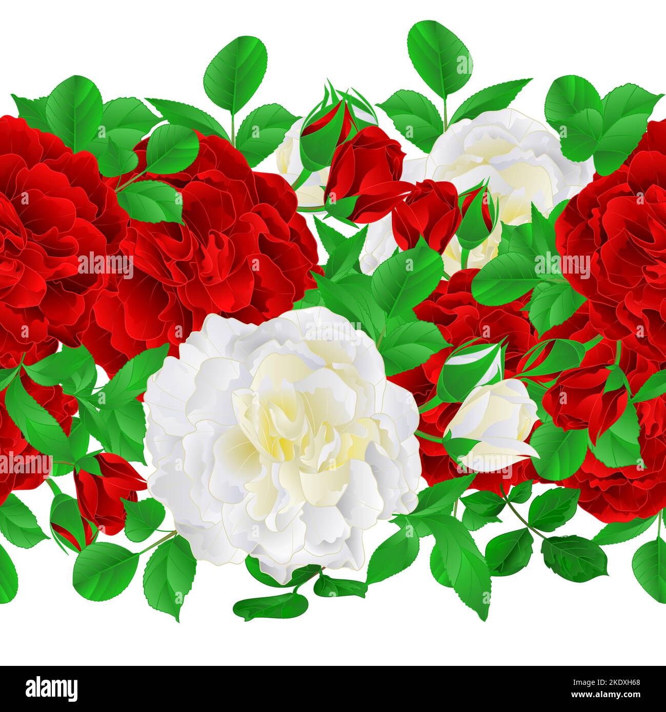 Floral border seamless background red and white Roses with buds and ...