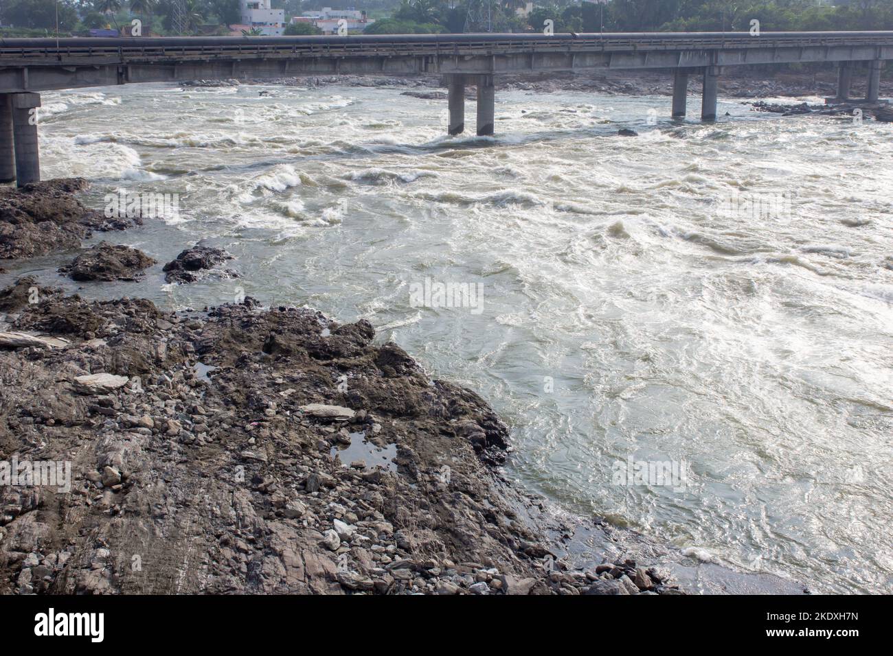 Kaveri river in full flow after water released from the Mettur dam ...