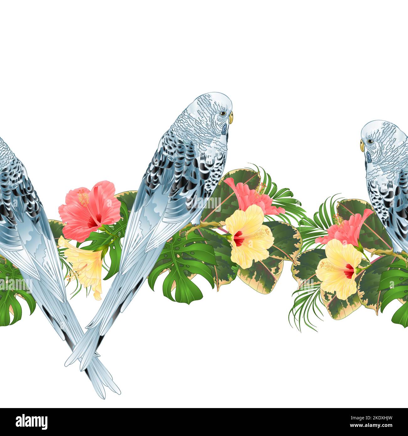 Tropical border seamless background Budgerigar, blue pet parakeet and ...