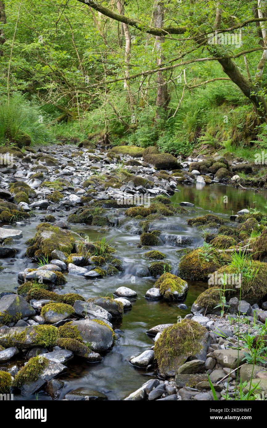 Burnsands burn in the scottish countryside. Dumfries and Galloway ...