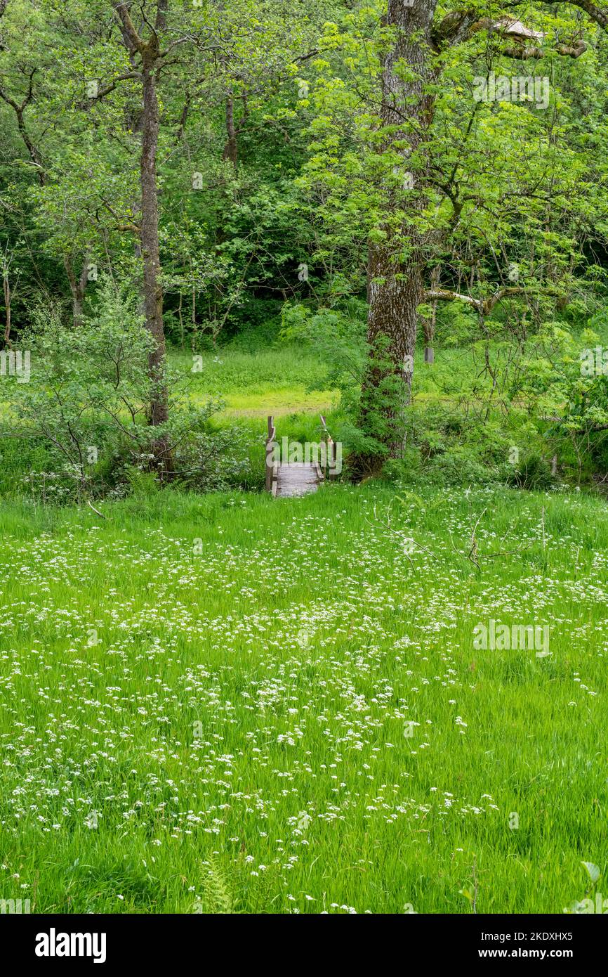 Dumfries galloway scotland bridge hi-res stock photography and images ...