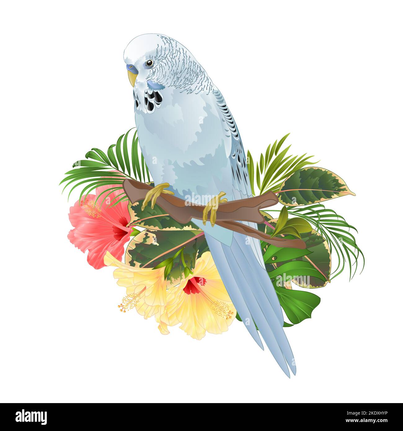 Hibiscus blue bird flower Stock Vector Images - Alamy