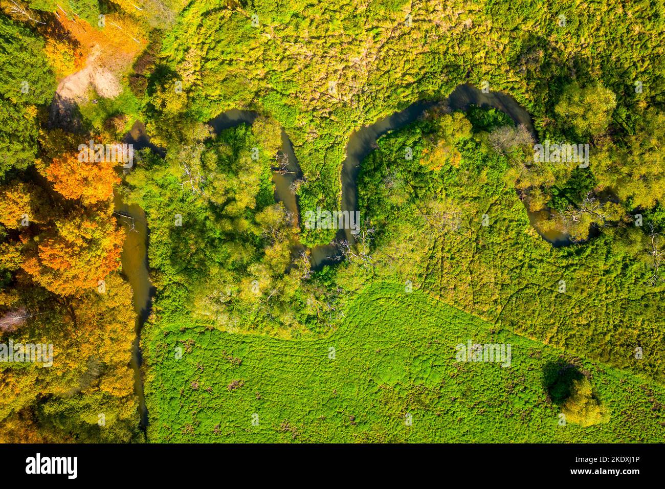 Narrow creek meanders in autumnal landscape. Green grass meadows and ...
