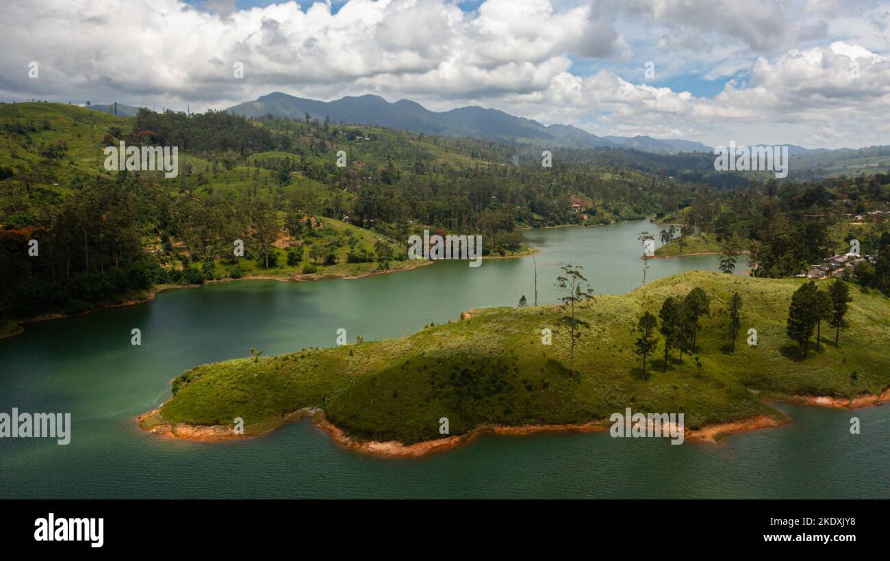 Aerial view of lake among the hills with tea plantations in the ...
