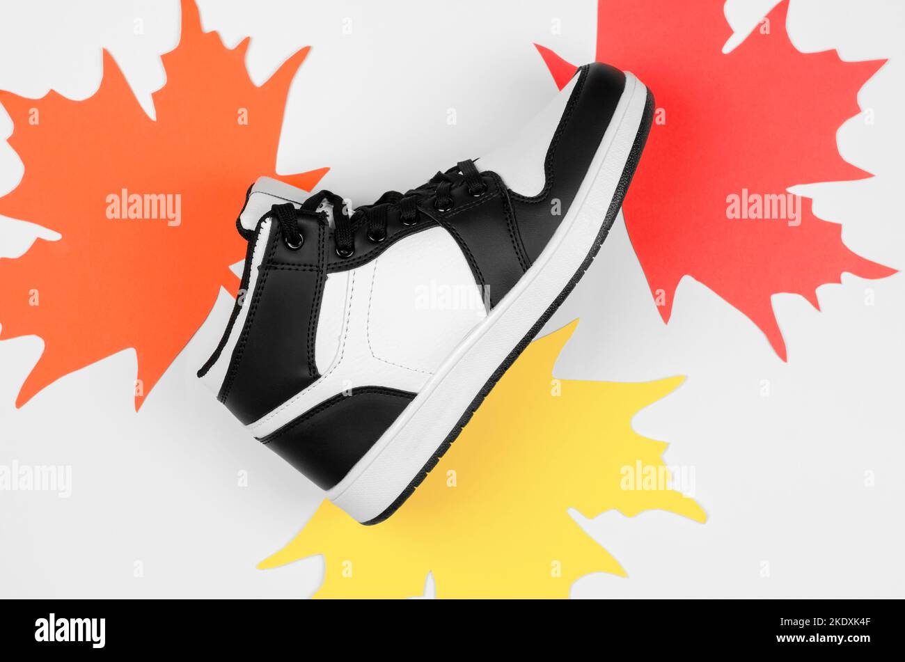 Black and white stylish sneaker and autumn leaves on a white background ...